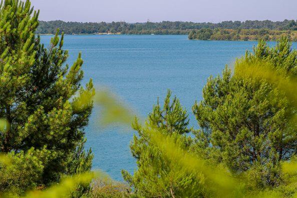 Landes - Fête Nature - Environnement - Balade nautique sur le lac du Commanday - Agenda Morcenx ...